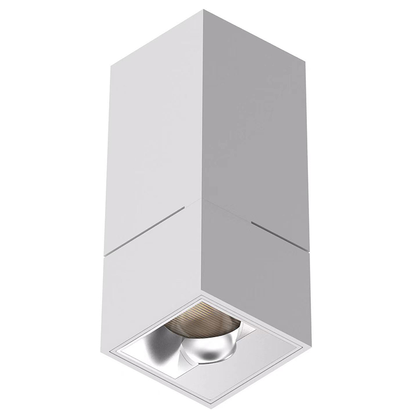 Wall Washer Ceiling Mount